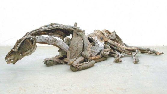 Deborah Butterfield – The Women's Studio